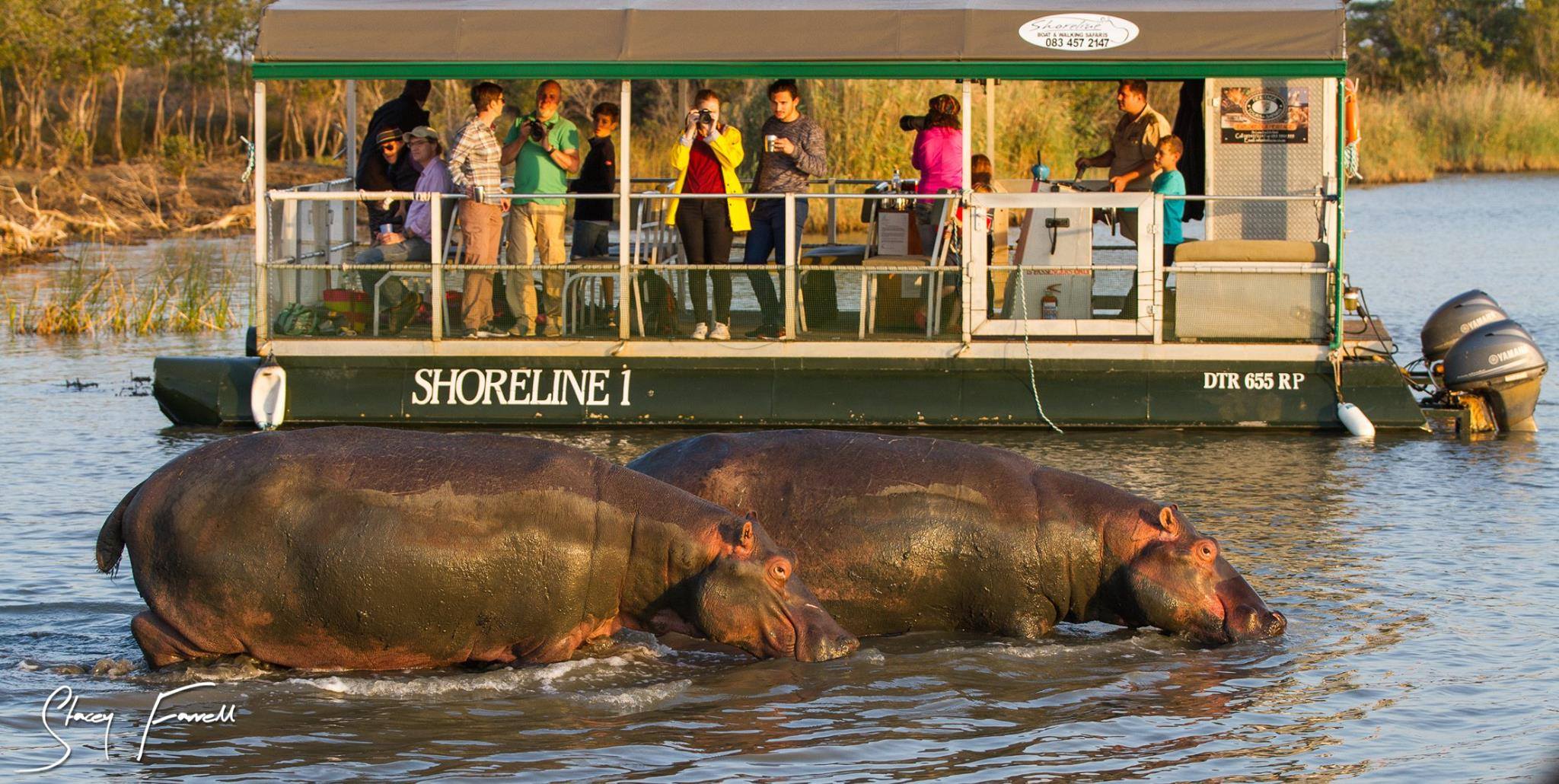 Durban Day Safari Tours, Durban Overnight Safari Packages