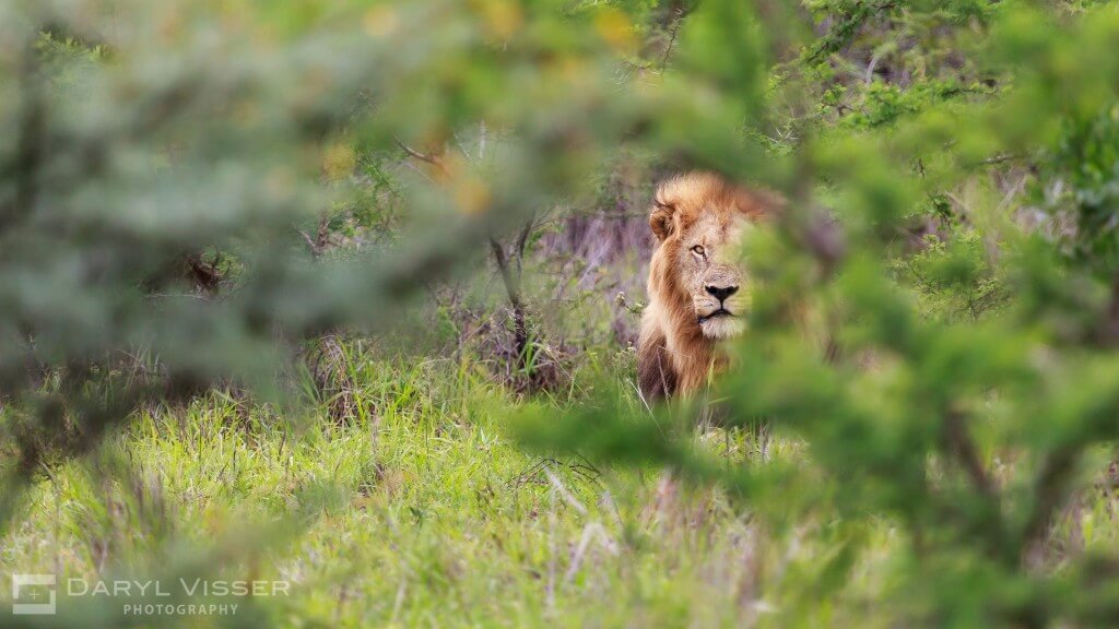 Hluhluwe Game Reserve Activities