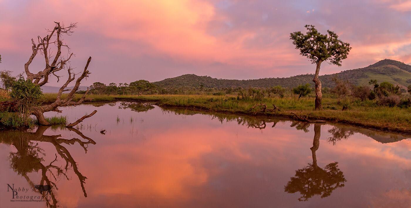Nobby Clarke Photography - Hluhluwe Game Reserve