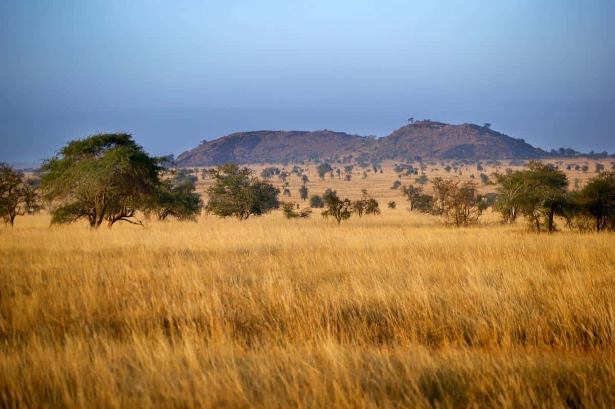 South African Biomes Facts Information Pictures Learn More Explore South African Biomes Facts Information Pictures Learn More Explore