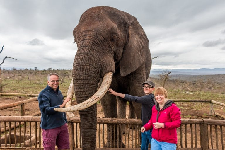 Manyoni & Elephant Interaction Safari - Hluhluwe Game Reserve